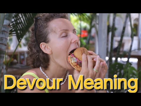 504 English Essential Words - Lesson 20 - Devour Meaning