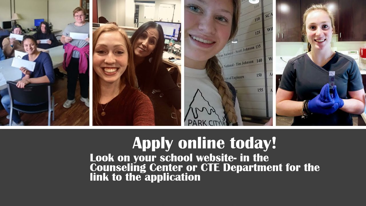 What is a DSD Work Based Learning Internship