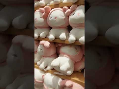 Miniso Soft Toys