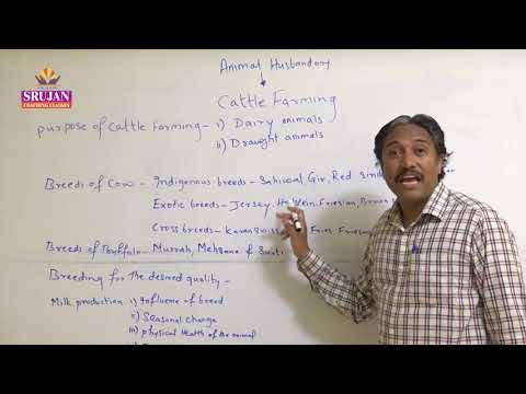 Class 9th Biology Animal Husbandry Part-1