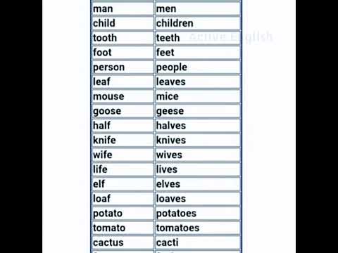 child wife mouse tooth life etc ke plurals form kya hote hai 😳👌👌