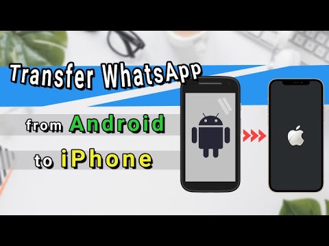 How to Transfer WhatsApp Chats from Android to iPhone