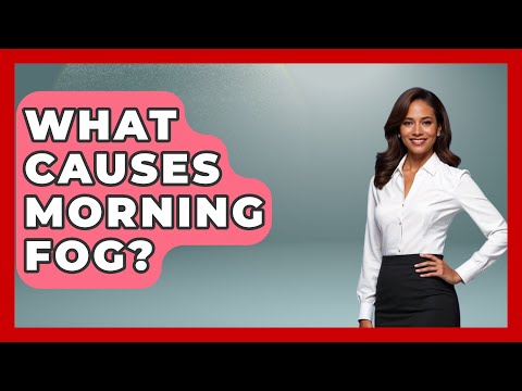 What Causes Morning Fog? - Weather Watchdog