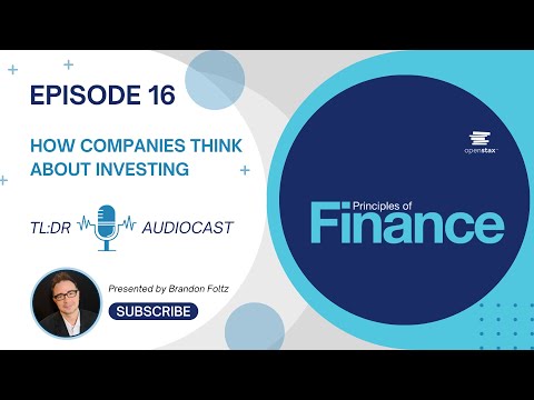 TL;DR 🔊 Finance: Episode 16, How Companies Think About Investing Using Basic Excel