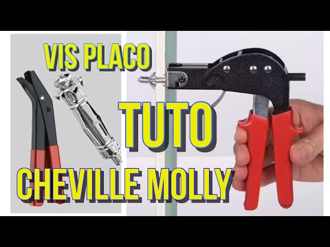 Comment utiliser une pince Molly pour fixer une cheville métallique sur du placo ? Vis à placo /tuto