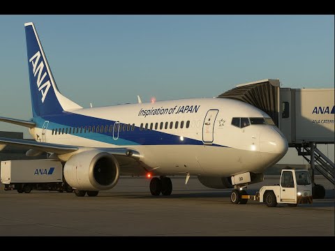 Project Flight | Boeing 737 All Nippon Airways | Full Flight Laranca-London Gatwick