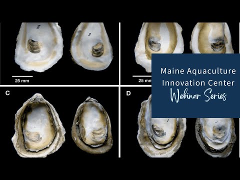 MAIC, June 2025: Aquatic Animal Health & Biosecurity