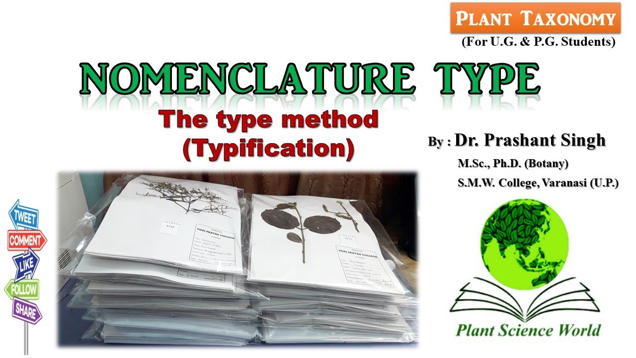 NOMENCLATURE TYPE (The type method or Typification)