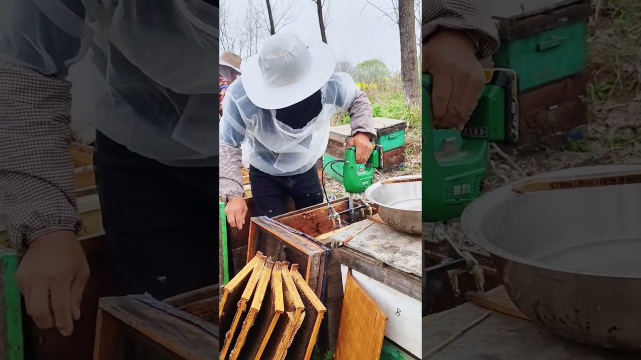SMOOTH Harvest! Watch this ELECTRIC Bee Shaker Work 🔋