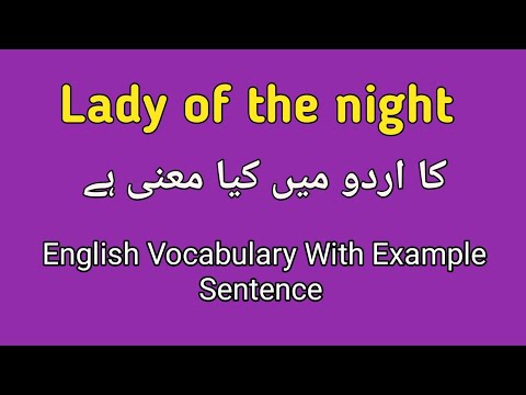 Lady of the night meaning in English to Urdu with example sentence