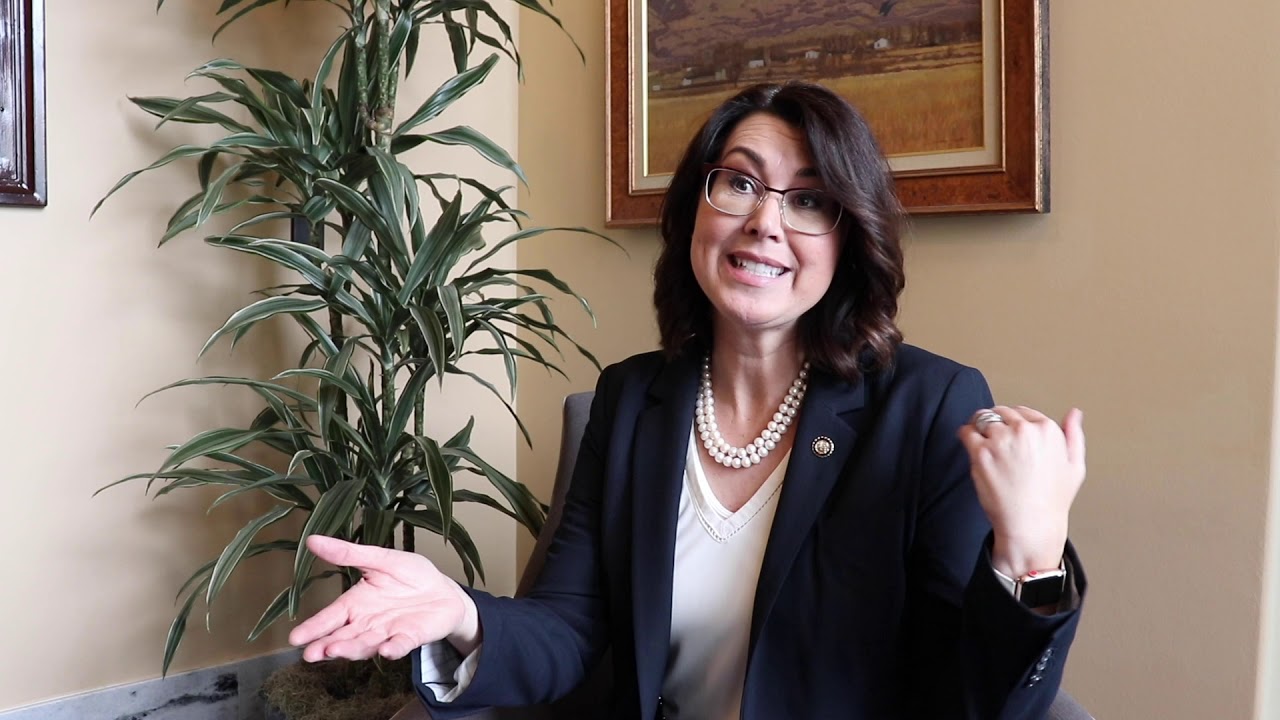 What is a Conference Committee?