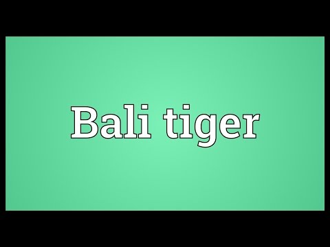 Bali tiger Meaning