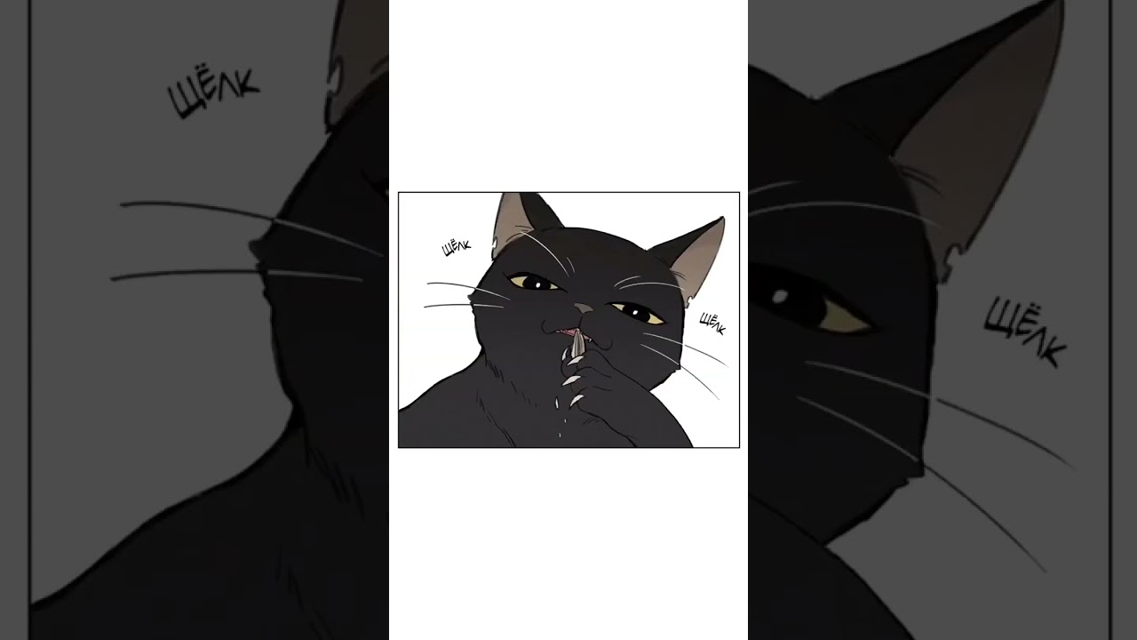 Cat and Hamster #bledit #yaoimanga #bl #yaoi #hamster #boylove #edit #manhwa