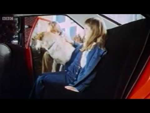 Das Auto - The Germans, Their Cars and Us