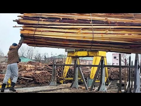 Mesmerizing Power: A Giant Crane and Tons of Timber in Motion