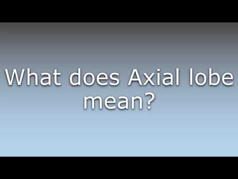 What does Axial lobe mean?