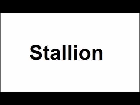 How to pronounce Stallion||How to say Stallion||Stallion Pronunciation||ABDictionary