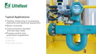 Littelfuse PICO Fuse 304 Series