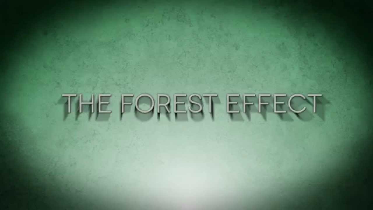 The Forest Effect - Reducing Deforestation in the Amazon