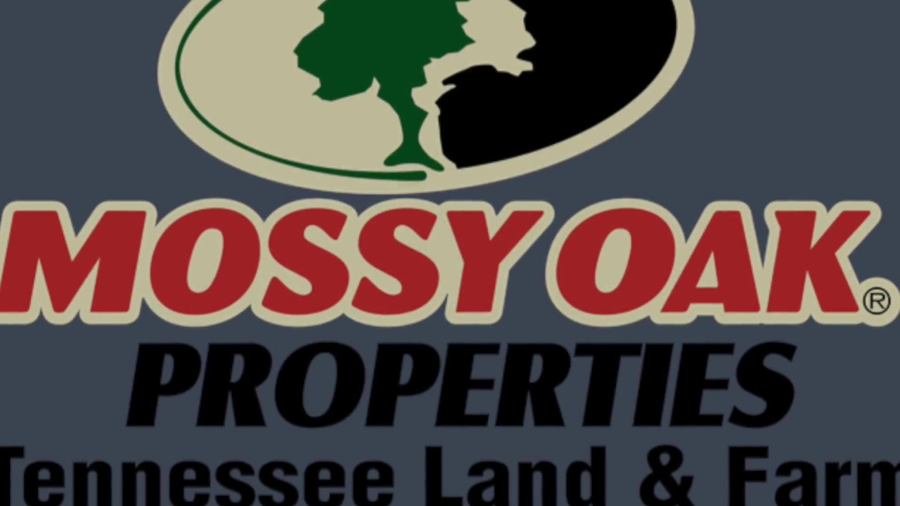 Gibson County Property