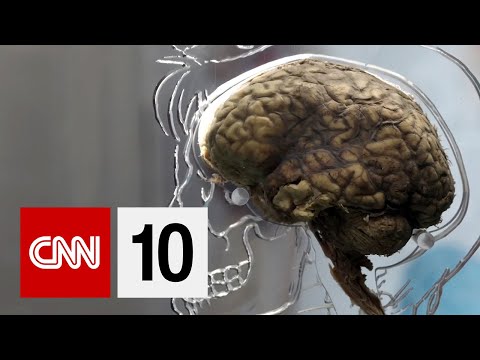 Can You Train Your Brain?
