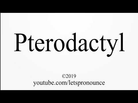 How to Pronounce Pterodactyl