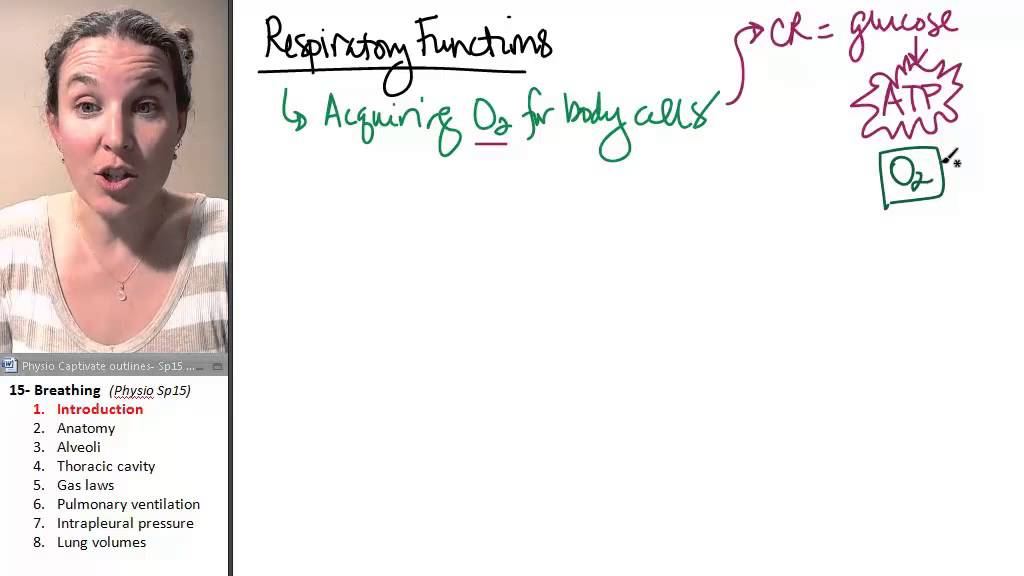 Breathing 1- Respiratory function