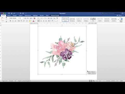 How to resize watercolor graphics clipart on microsoft word windows