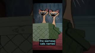 Disney Racism - Lady & the Tramp