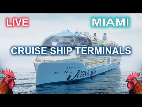 ๐ด LIVE Port Miami Cruise Ship Terminals