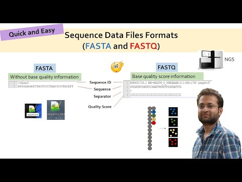 Difference between FASTA and FASTQ file formats. How to make a fasta formatted file.