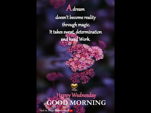 WEDNESDAY QUOTES /GOOD MORNING IMAGES /WHATSAPP STATUS/WHATSAPP DP PHOTOS/BEAUTIFUL IMAGES
