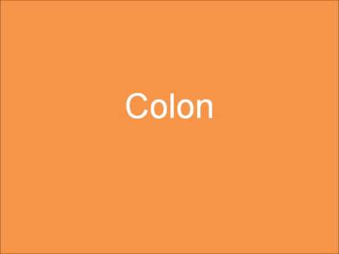 How to pronounce Colon in English (American)