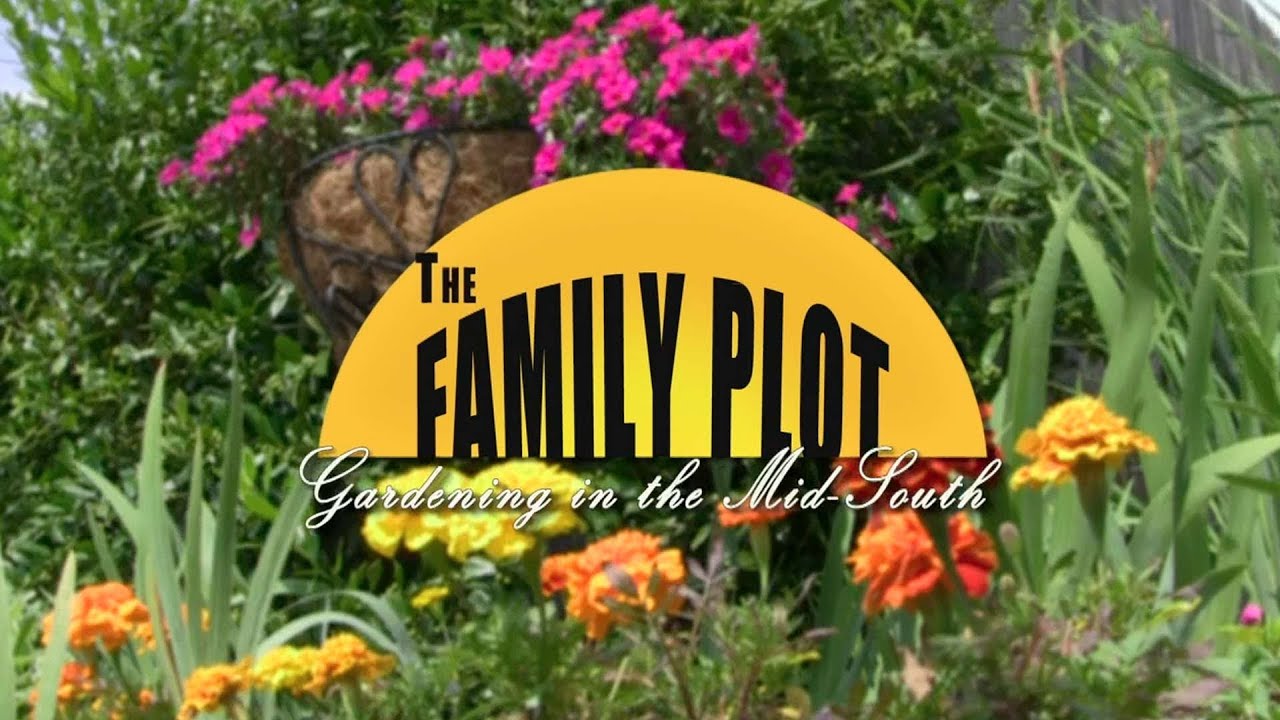 The Family Plot — May 8, 2014