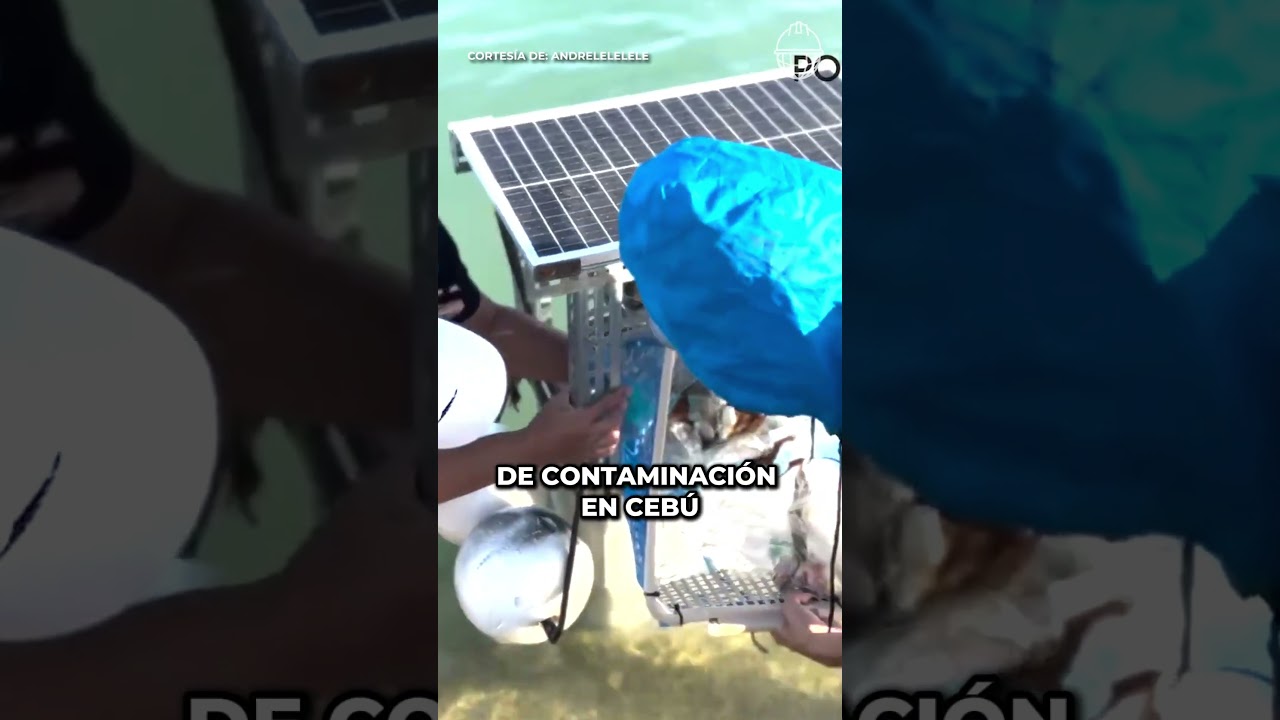 ¡Estudiantes filipino desarrollan un Robot que limpia los océanos! | SEAGBIN