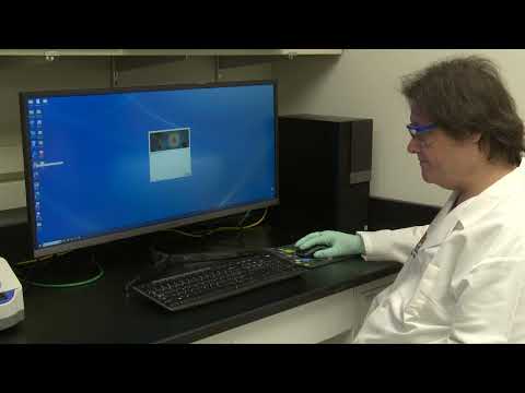Bio-Rad Ze5 Start-up and QC