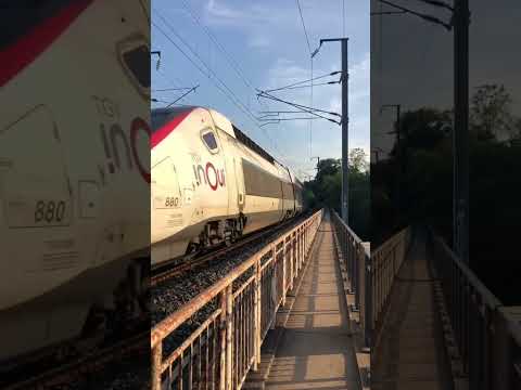 Croisement de TGV Océane (880 / UM2 872-829) 🤩 #tgv #sncf #france #trains