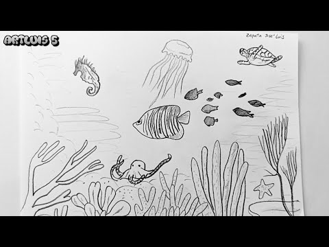 Comment dessiner le fond de la MER | paysage marin