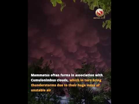 Mammatus clouds