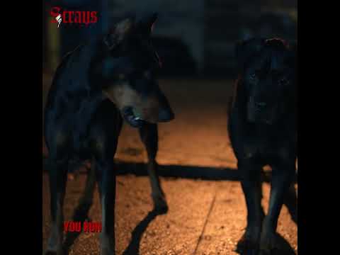 Strays (R)