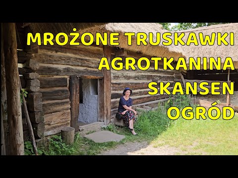 Ogród, wycieczka, agrotkanina pod maliny, mrożę truskawki i gotuję botwinkową zupę🍓🌿🥒