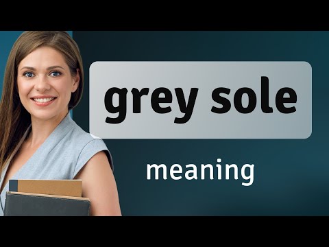 Grey sole • meaning of GREY SOLE