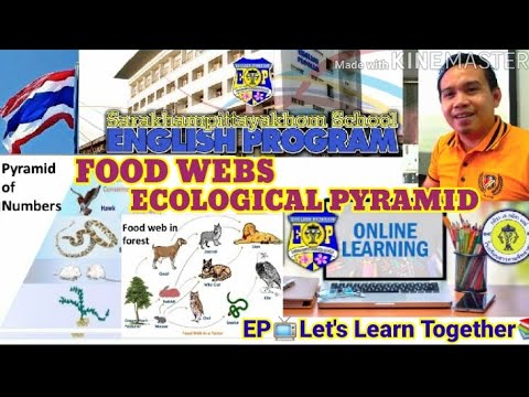 Different Food Webs Ecosystem ||Ecological Food Pyramid ||Hosted by Ajarn John ||EP-SPK Online Class