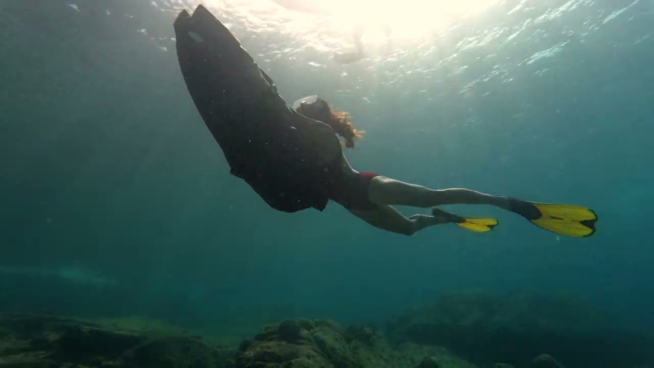 iAqua | AquaDart - Aquawaltz