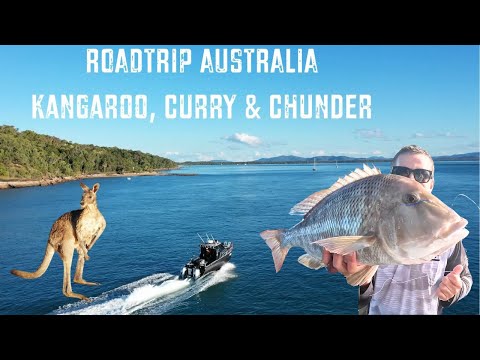 Didn’t Expect THIS at Pancake Creek?? – Big Fish, A KANGAROO & curry at Sunset!
