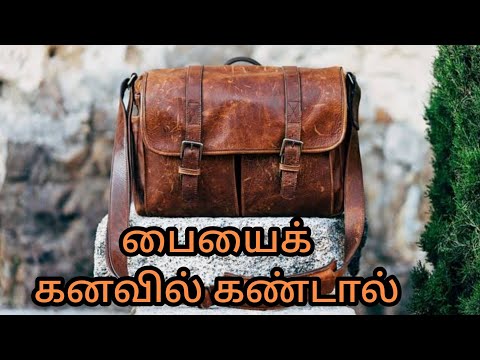 பையைக் கனவில் கண்டால்| paiyai kanavil kandal|bag in dream |Anita's clips