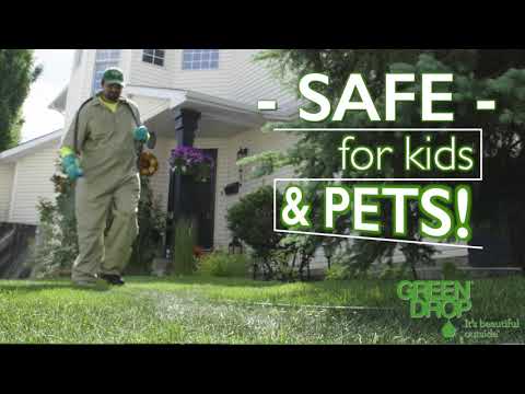 Green Drop - Winnipeg - Overview Promo