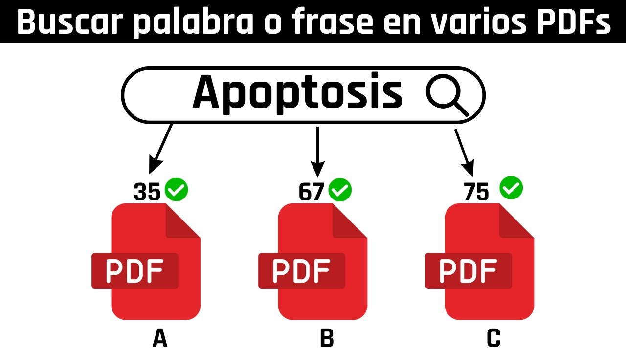Cómo BUSCAR una palabra o frase en varios archivos PDF (simultáneamente)