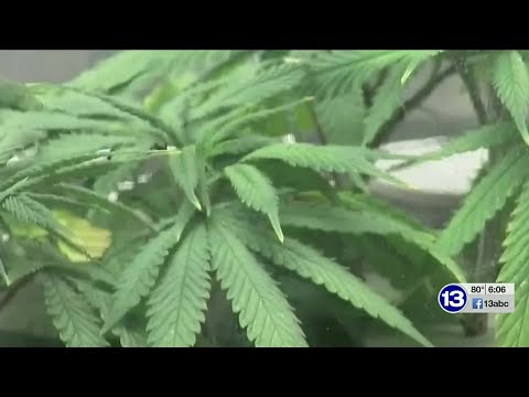 Ohio Medical Board approves new condition for medical marijuana, 2 rejected