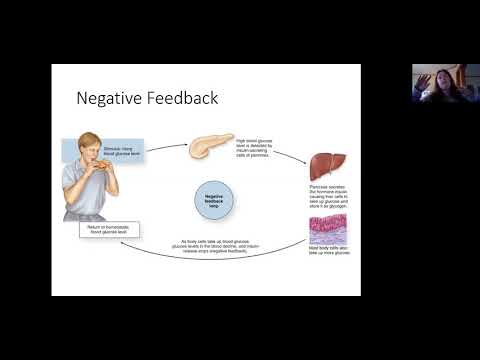 Feedback Loops